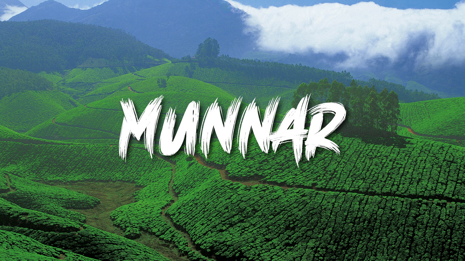 30 Serene and Scenic Unexplored places to Visit in Munnar