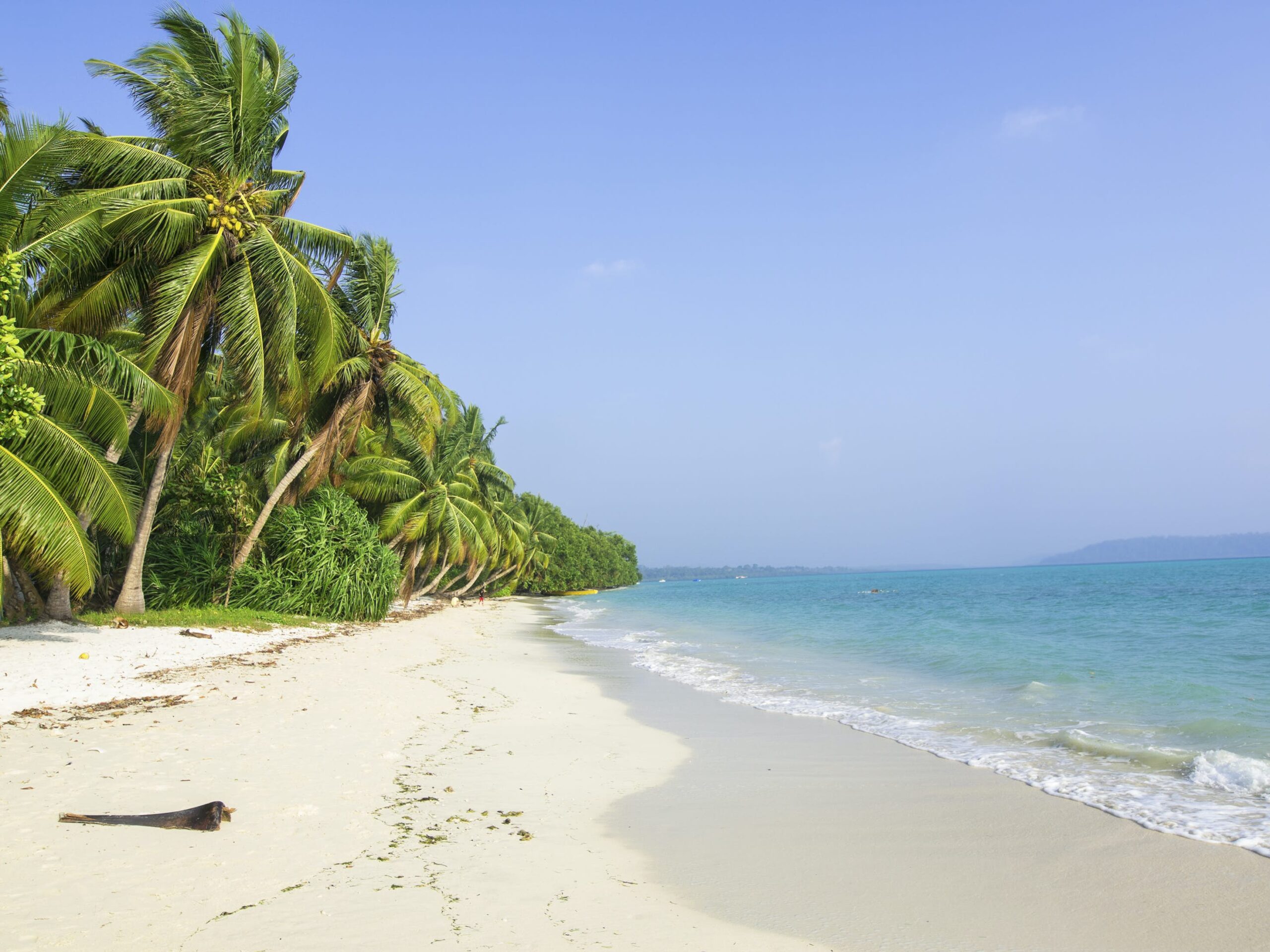 The Best Time to Visit Andaman: A Planning Guide