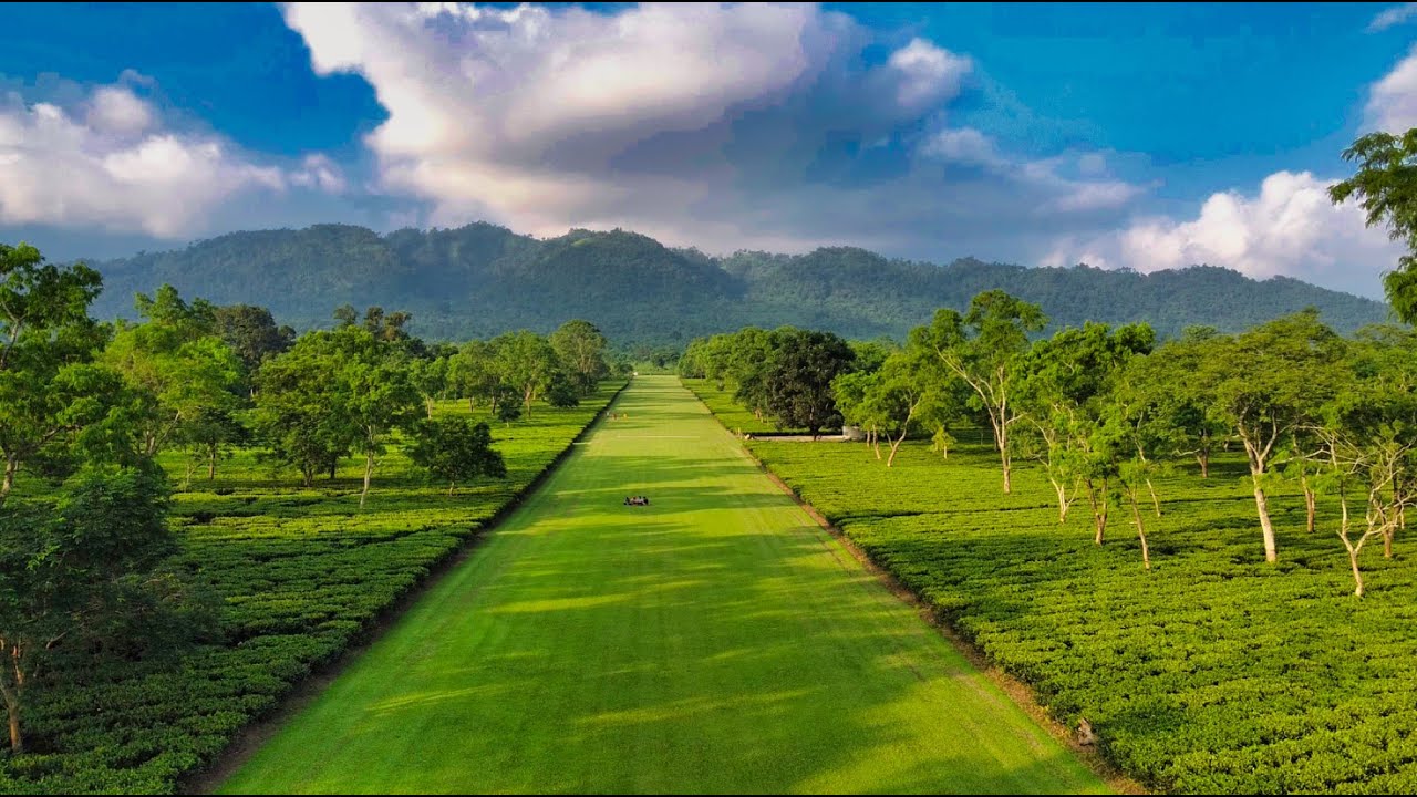 Top Tea Gardens in Assam