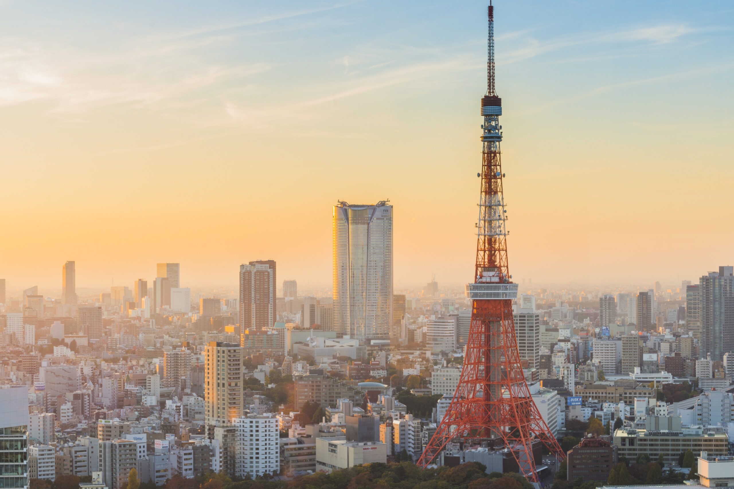 Tokyo: One-Day Futuristic City Tour Itinerary