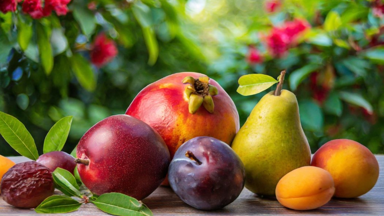 India's fruits of the rainy season